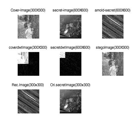figure 3 1 from a modified secure digital image steganography based on discrete wavelet