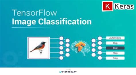 How To Build An Image Classification Model And Web App With Tensorflow