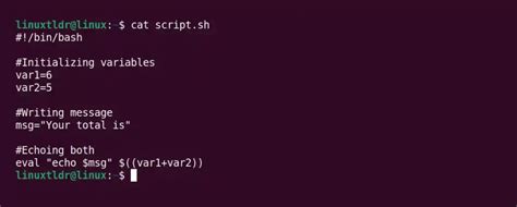 what is shell cli vs gui shell scripting explained
