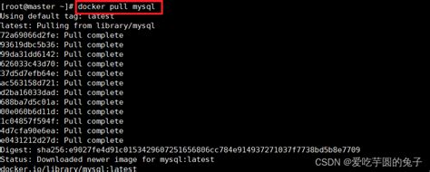 【docker】docker安装mysql mysql docker csdn博客