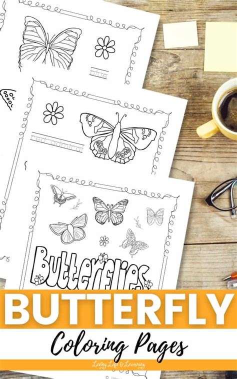 Coloring Pages Butterfly Life Cycle Coloring Home SexiezPicz Web Porn