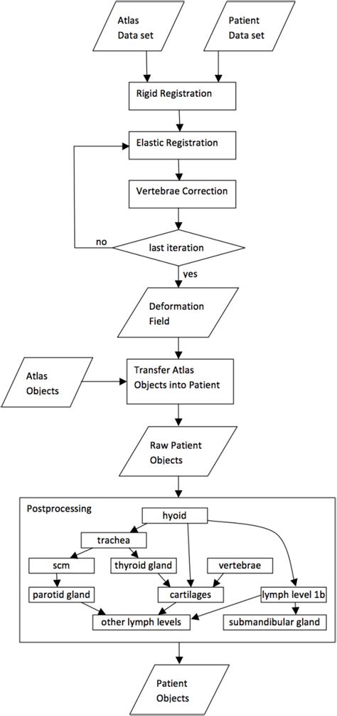 Analytical Diagram Describing The Workflow Of The Automatic