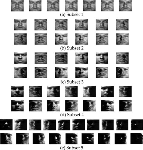 an efficient hybrid face recognition algorithm using pca and gabor wavelets hyunjong cho