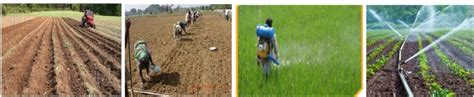 Give Different Steps Of Agricultural Practices In Sequence