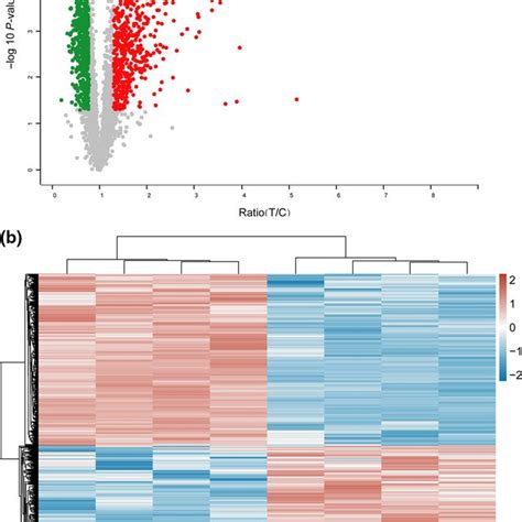 Volcano Plot And Hierarchical Cluster Analysis Of The