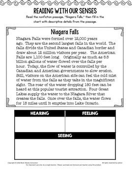 Descriptive Nonfiction Text Structure Doodle Notes And 6 Lessons