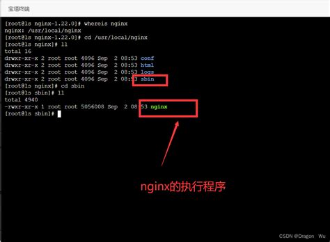 linux服务器安装nginx教程 linux服务器安装npx dragon wu的博客 csdn博客