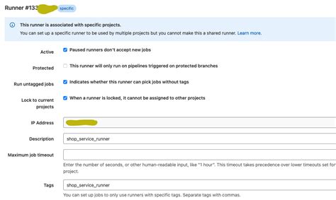 amazon ec2 gitlab pipeline error with cd ci for aws ec2 debian instance this job is stuck