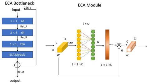 applied sciences free full text exploiting hierarchical label information in an attention