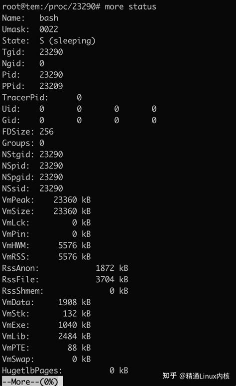 linux内核：进程管理——进程文件系统 proc详解 知乎