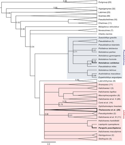 conservation and diversity in expression of candidate genes regulating socially induced female