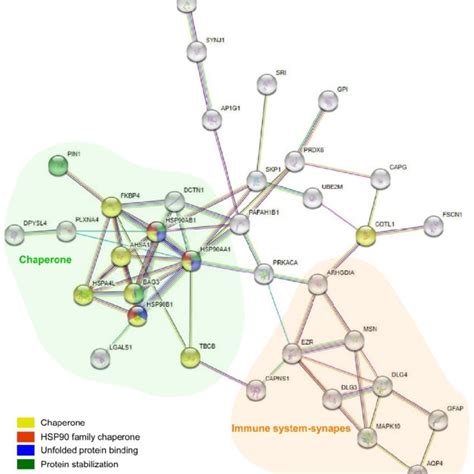 protein protein interaction ppi analysis revealed a complex download scientific diagram