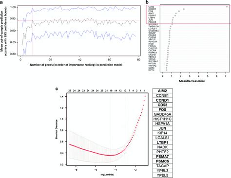 variable feature selection using random forest and lasso machine download scientific diagram