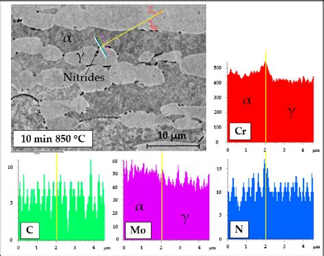 Figure 3 From Investigation On The Corrosion Behavior Of Lean Duplex