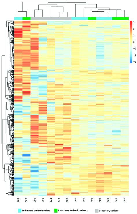 Heatmap Generated By Unsupervised Hierarchical Clustering Analysis