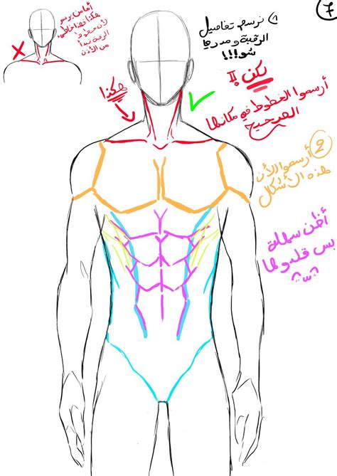 How To Draw A Male Body Step By Step
