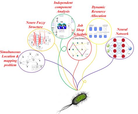 bacterial foraging optimization algorithm bfoa inspired from social foraging behavior of