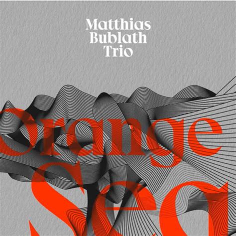 ENJA帯付き国内仕様輸入盤CD ステファノアメリオ録音 Matthias Bublath マティアスバブラス Orange