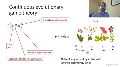 an introduction to evolutionary game theory part 3 continuous evolutionary games youtube