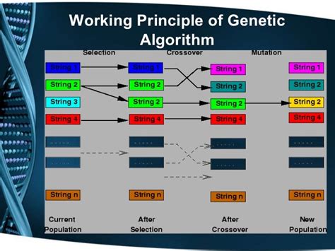 genetic algorithm
