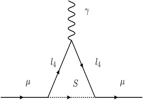 Feynman diagram for the NP contribution to ðg 2Þ μ at one loop