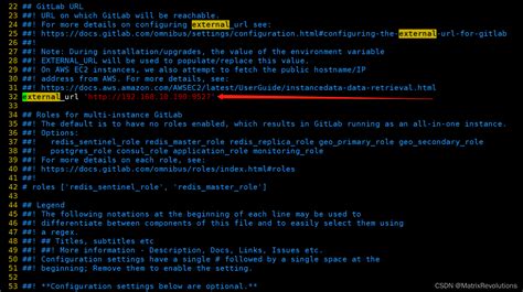 kubesphere应用【一】gitlab rpm包安装 rpm安装gitlab csdn博客