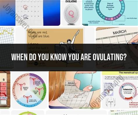 Recognizing Ovulation Signs And Symptoms JoyAnswer Org