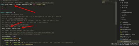 error invalid options in nfig js publicpath is not allowed csdn博客