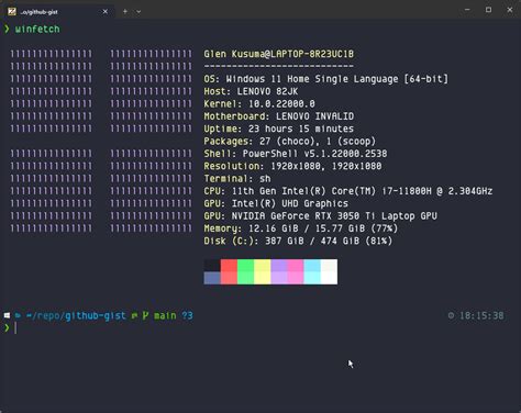 installing zsh and oh my zsh in windows git bash dominik rys hot sex sexiezpix web porn