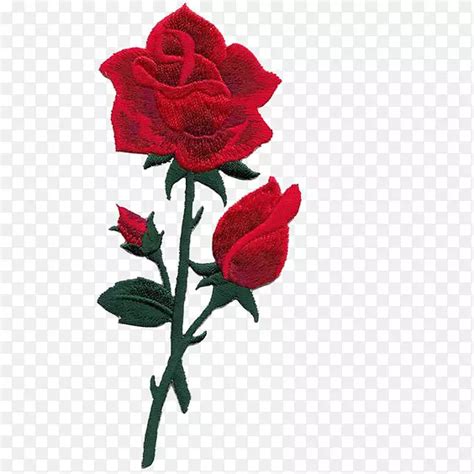 Png Png