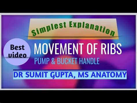 Pump Handle And Bucket Handle Movements Of Ribs Youtube