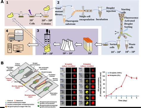 Biotechnological Applications Using Droplet Microfluidic Platform A