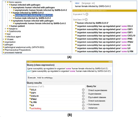 sex differences in gene ontology and dl query a cido ontological download scientific diagram