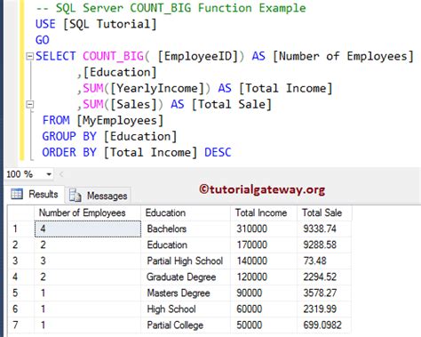 Sql Count Big Function