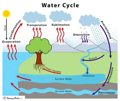 What Is The Water Cycle Short Answer