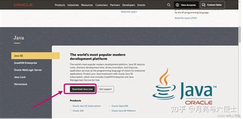jdk（1 8）下载与安装及环境变量的配置教程 opencloudos安装jdk1 8 csdn博客