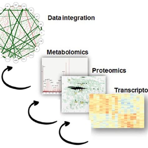 Integration Of System Biology Platform Linking Multiple Omics Data