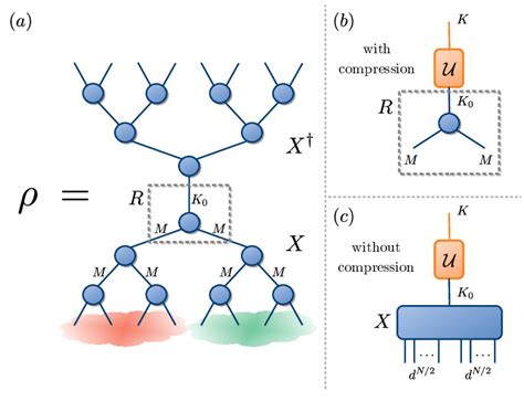 a the tree tensor operator tto representing a density matrix ρ xx download scientific