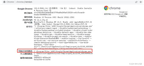 selenium控制已打开的chrome、ie浏览器 selenium控制ie浏览器 csdn博客