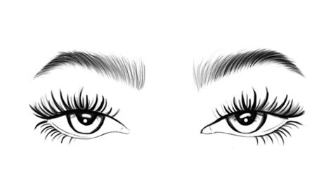 Makeup Face Charts Images Browse 5 236 Stock Photos Vectors And