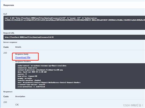 springboot实现文件上传和下载的功能 response getoutputstream 文件下载 web容器 使用了getwriter s csdn博客