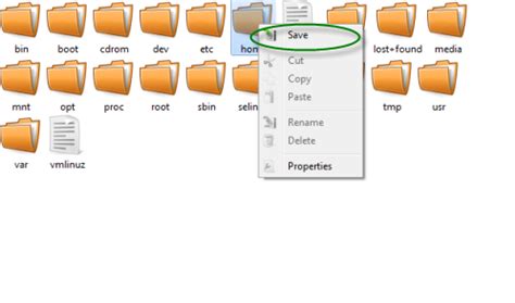 How To Access Linux Files From Windows Systran Box