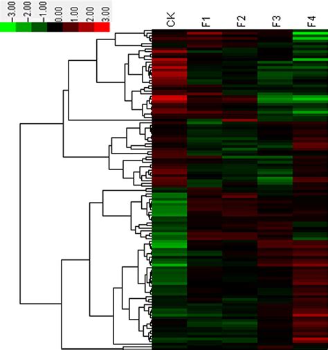 Hierarchical Cluster Analysis Of DEG Gene Expression Based On Log Ratio