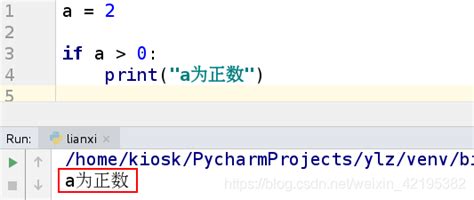 python中的语句 if for while if not false csdn博客