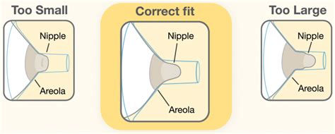 Nipple Shield Sizing How To Get The Best Fit Groovy Babies
