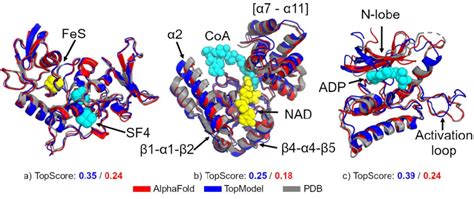 comparison of binding sites a cut out of the binding site for three download scientific