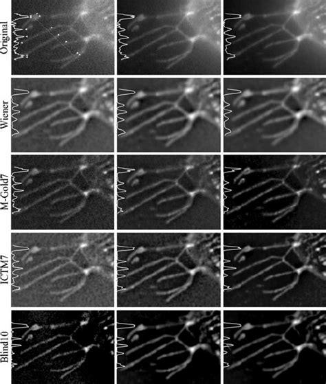deconvolution of image stacks acquired with different exposure times download scientific