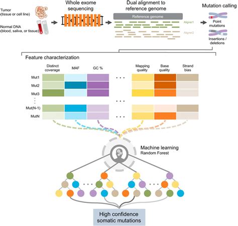 a machine learning approach for somatic mutation discovery science translational medicine