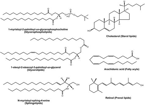 File Lipid Examples Png Wikimedia Commons