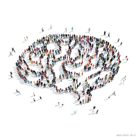 Developing The Social Brain Insights From The Science Of